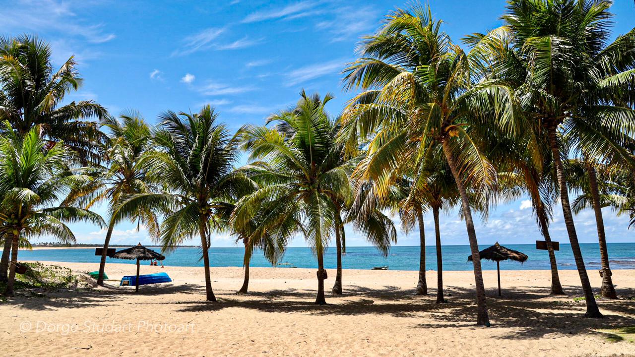 Praia do Porto – Praia de Itacimirim